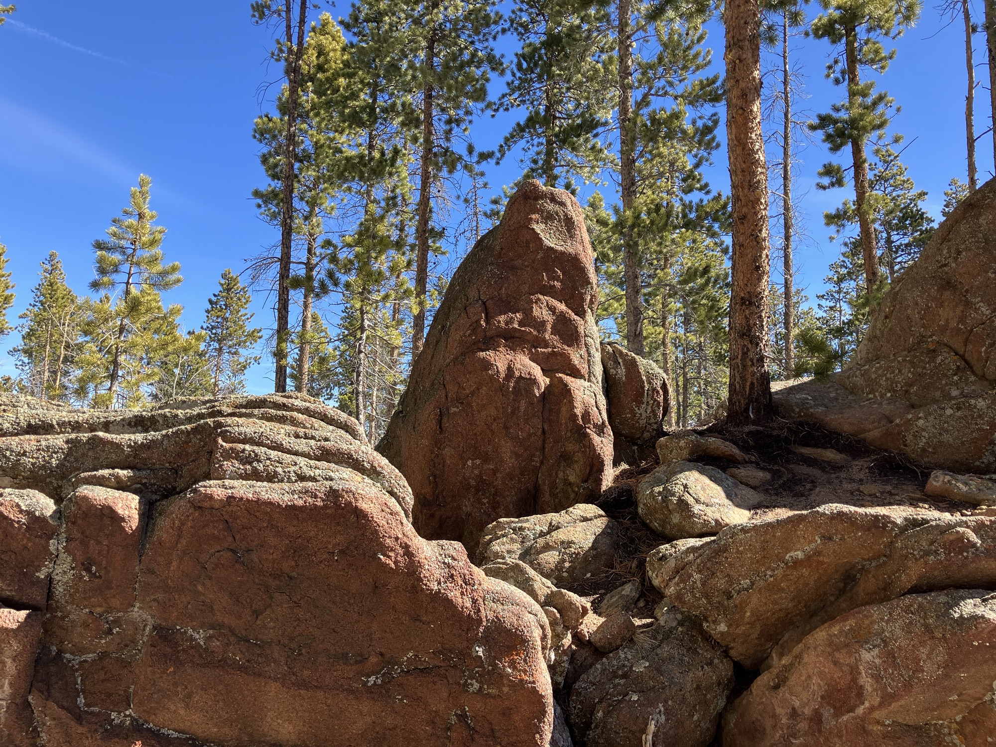 Island and North Country Life | With fiber, felines and fotos